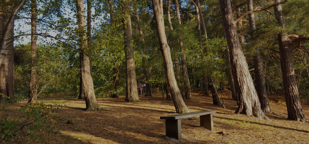 Finchampstead Parish Council – Parish Council In Wokingham